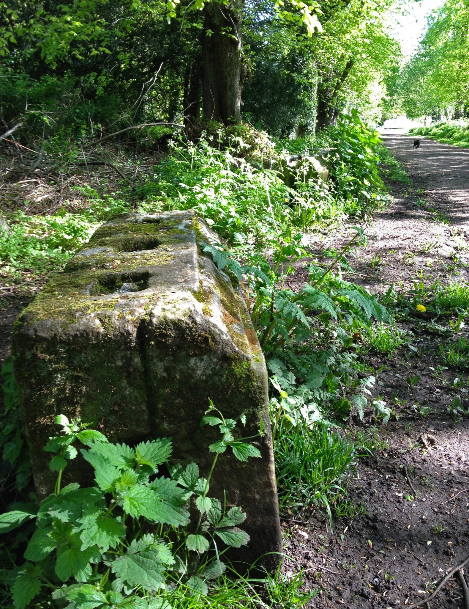 Puzzle of the Portland Stone Parapet. - Kings Weston Action Group