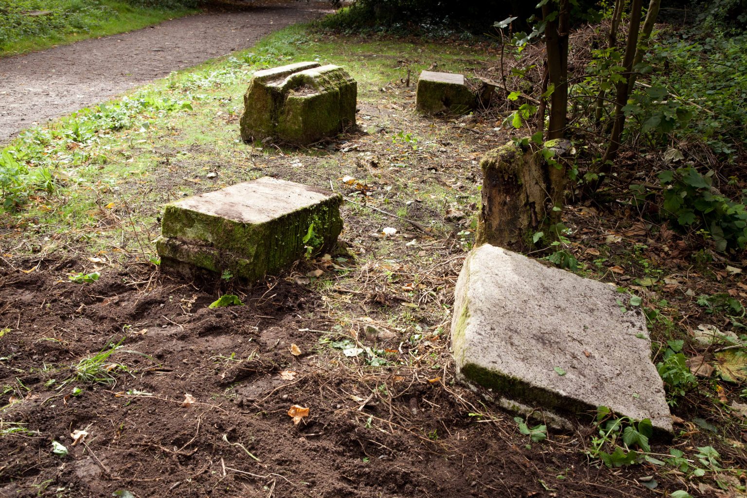 Puzzle of the Portland Stone Parapet. - Kings Weston Action Group